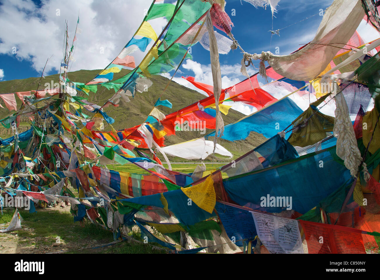 Tibetan prayer flags Stock Photo - Alamy