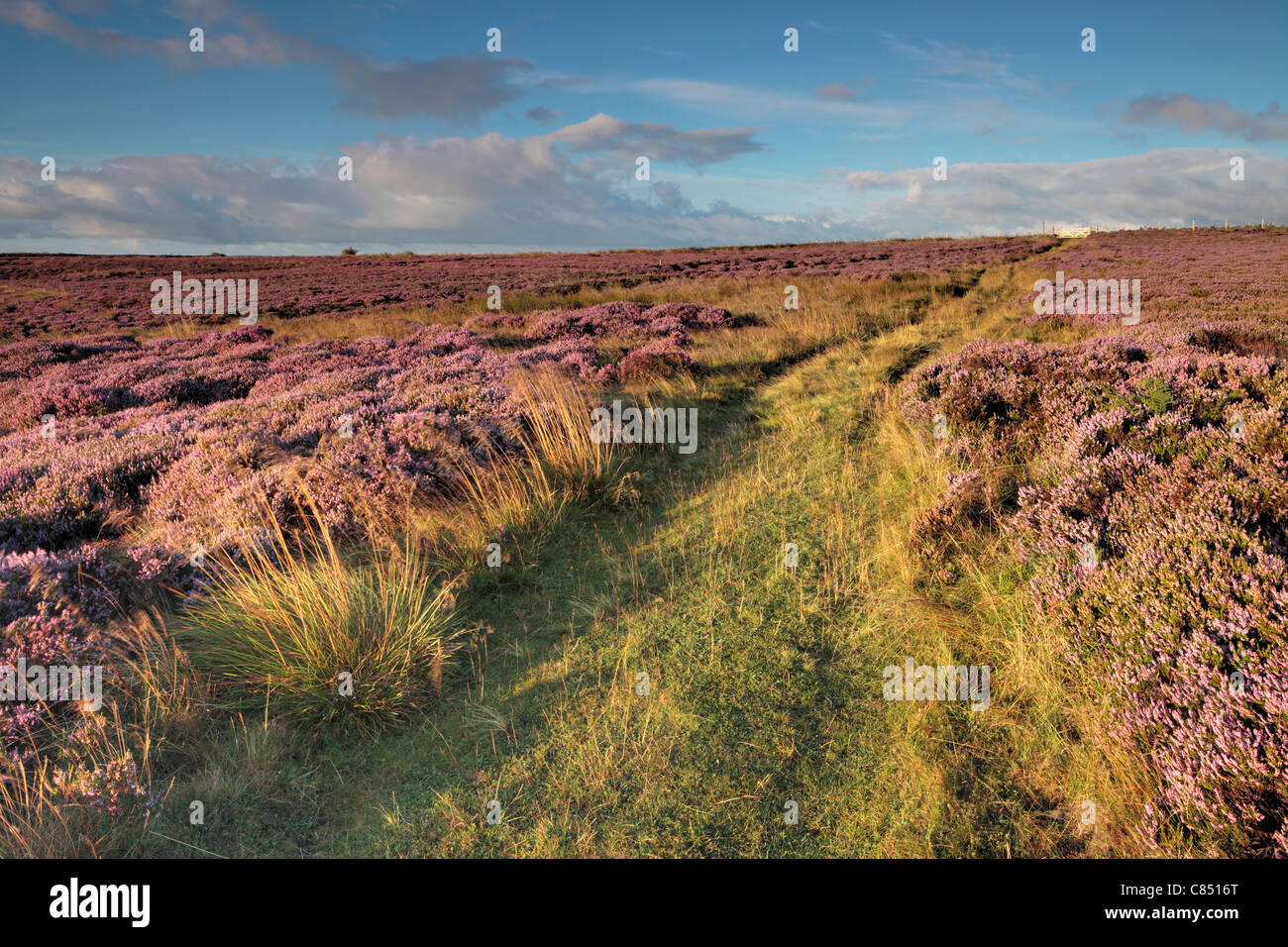 High crag ridge hi-res stock photography and images - Alamy