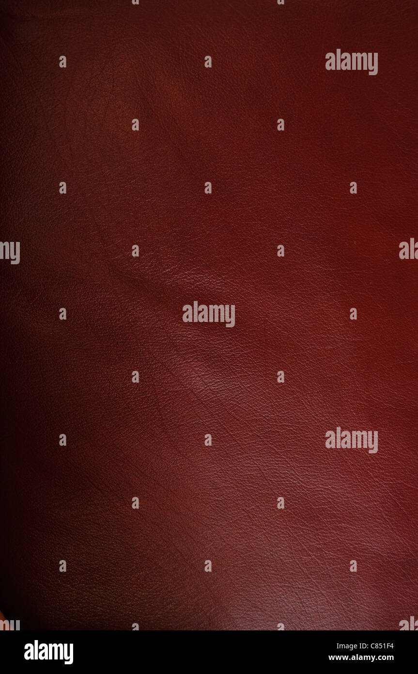 Wrinkled folder hi-res stock photography and images - Alamy