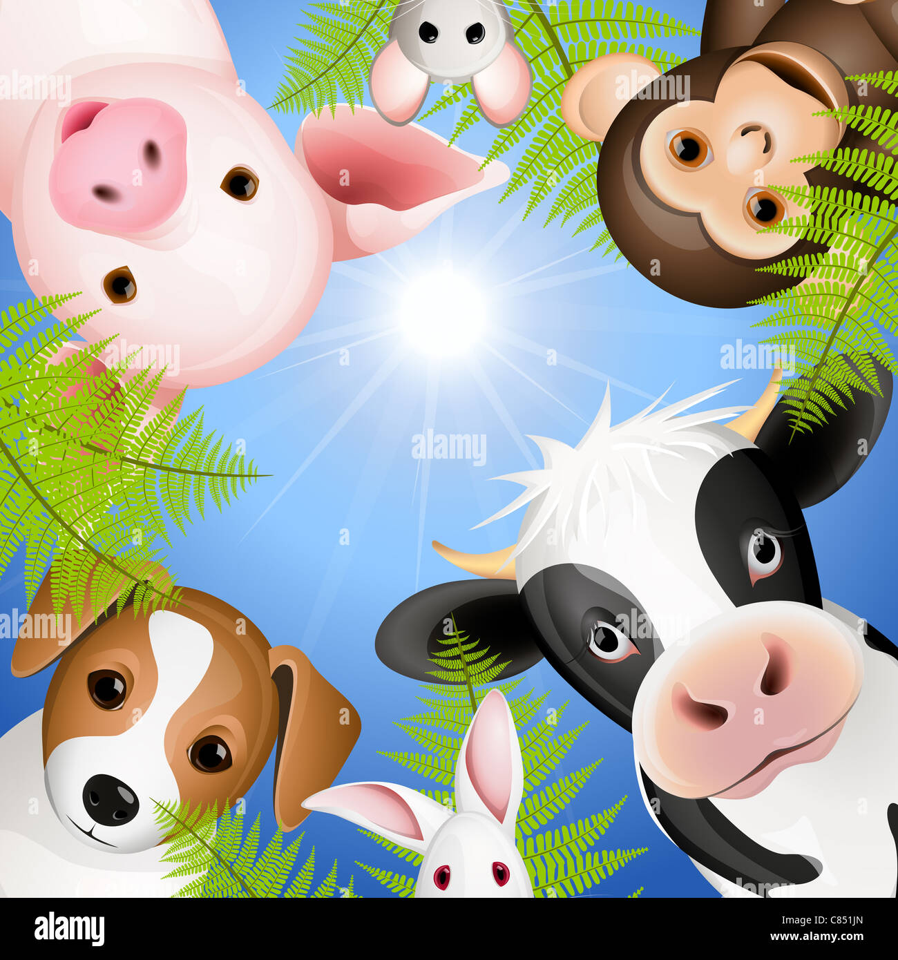 Curious animals all around Stock Photo - Alamy