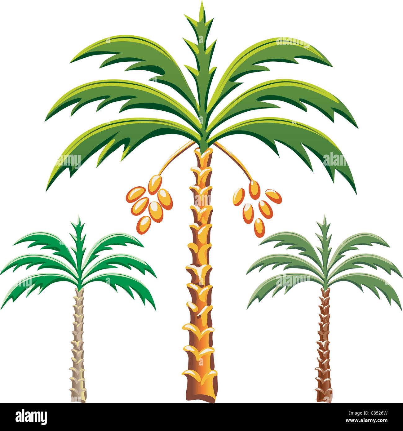 set of the date palm trees, Various color options Stock Photo - Alamy