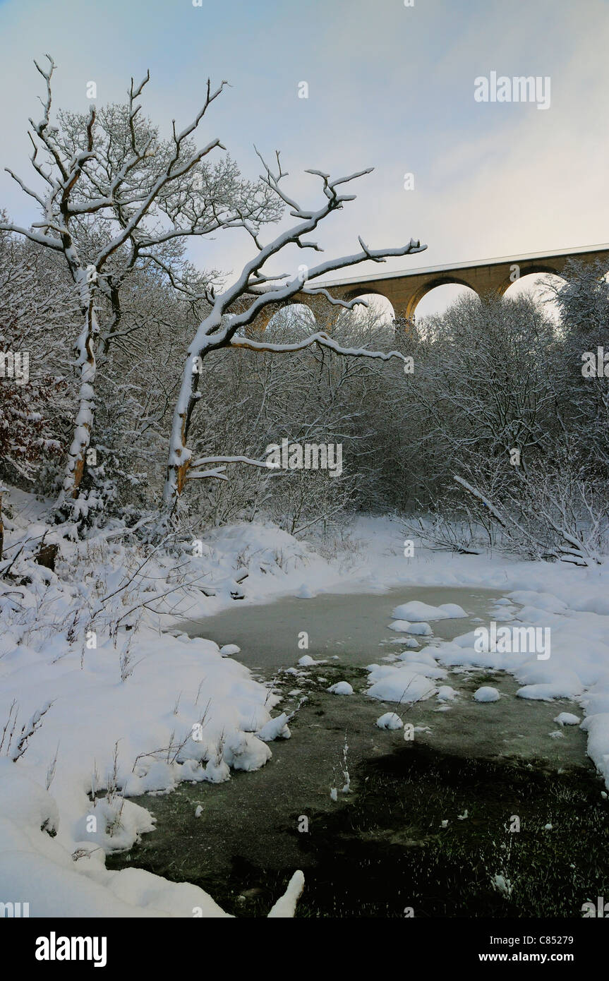 Woodland and viaduct hi-res stock photography and images - Alamy