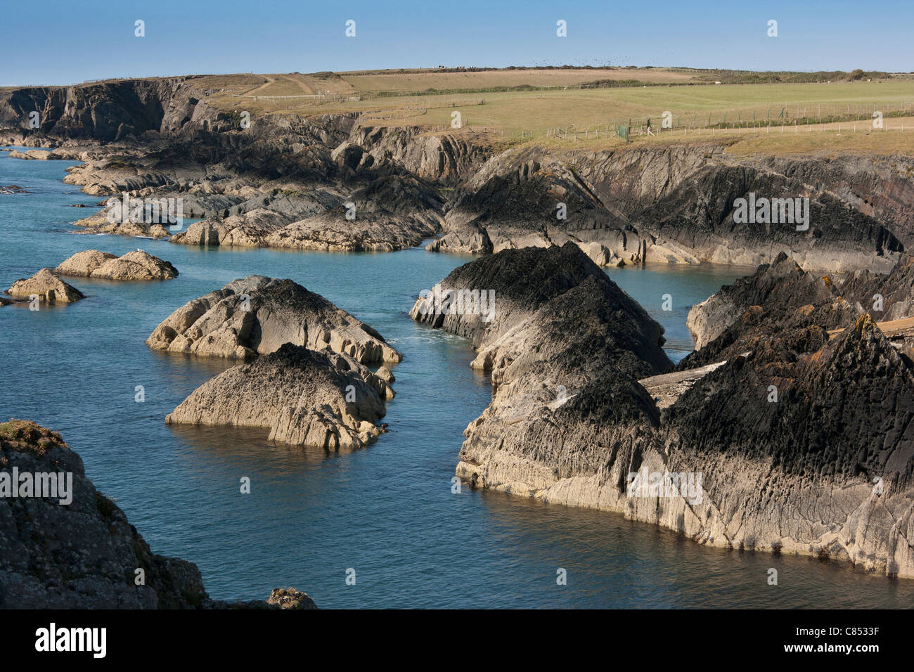 Cliffs and rocks at Cardigan Bay, West Wales Stock Photo - Alamy