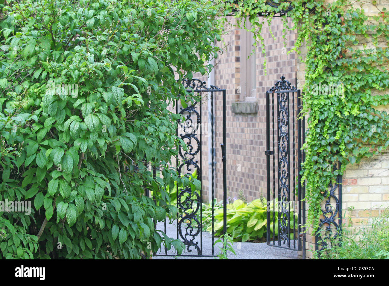 Garden entrance gate ivy hi-res stock photography and images - Alamy