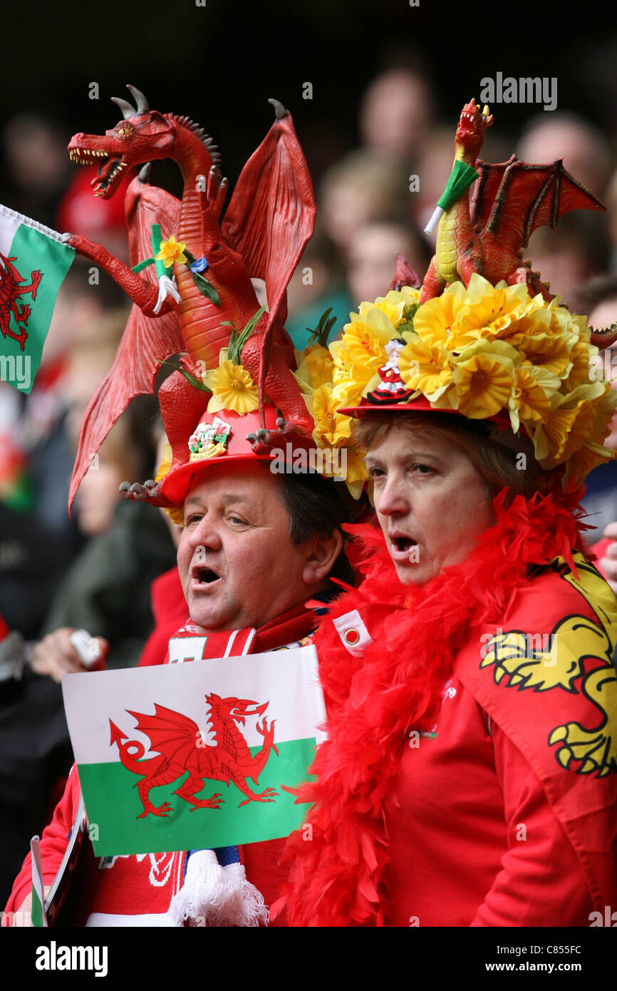 Welsh Fans Rugby High Resolution Stock Photography and Images - Alamy