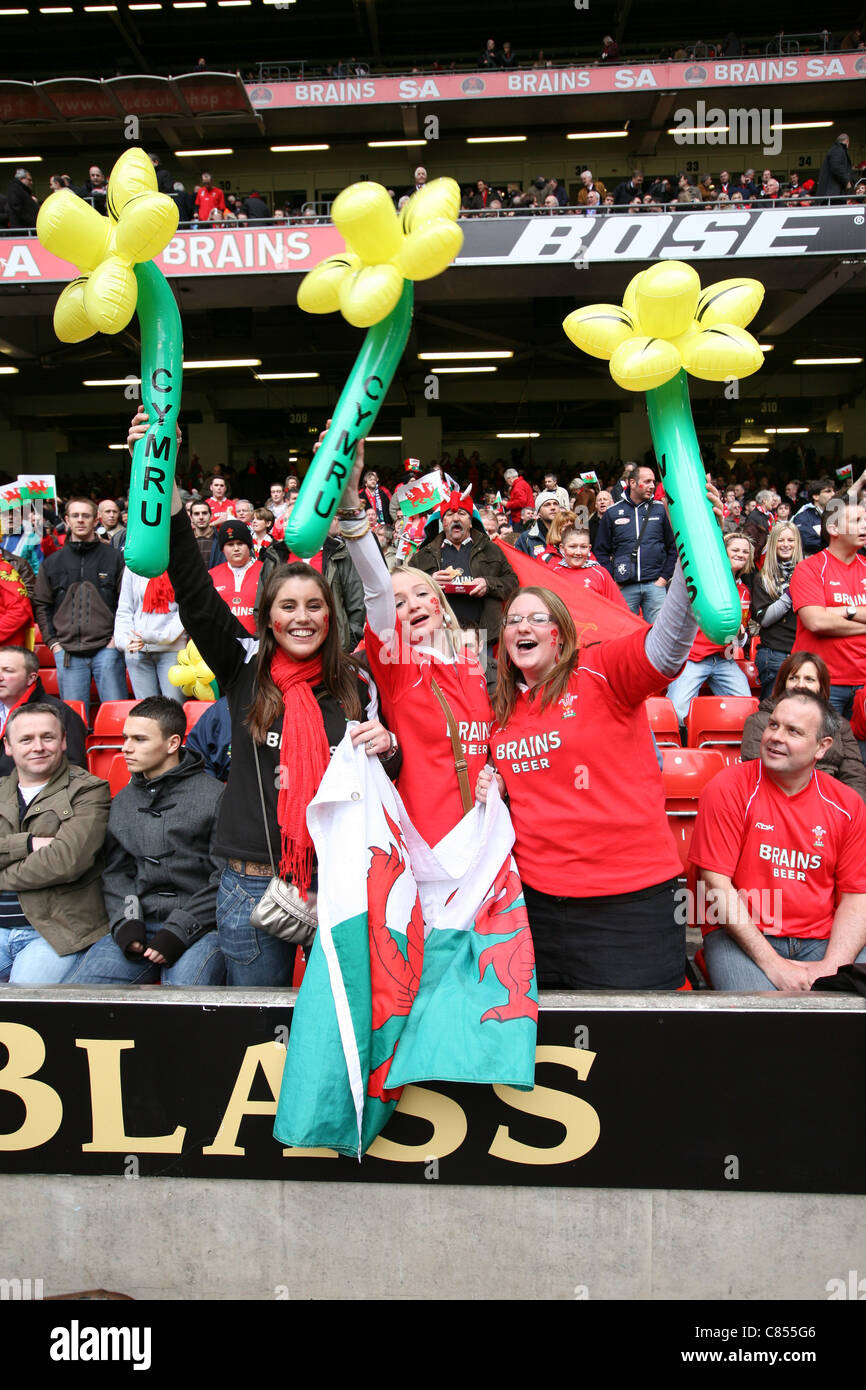 Welsh Fans Rugby High Resolution Stock Photography and Images - Alamy