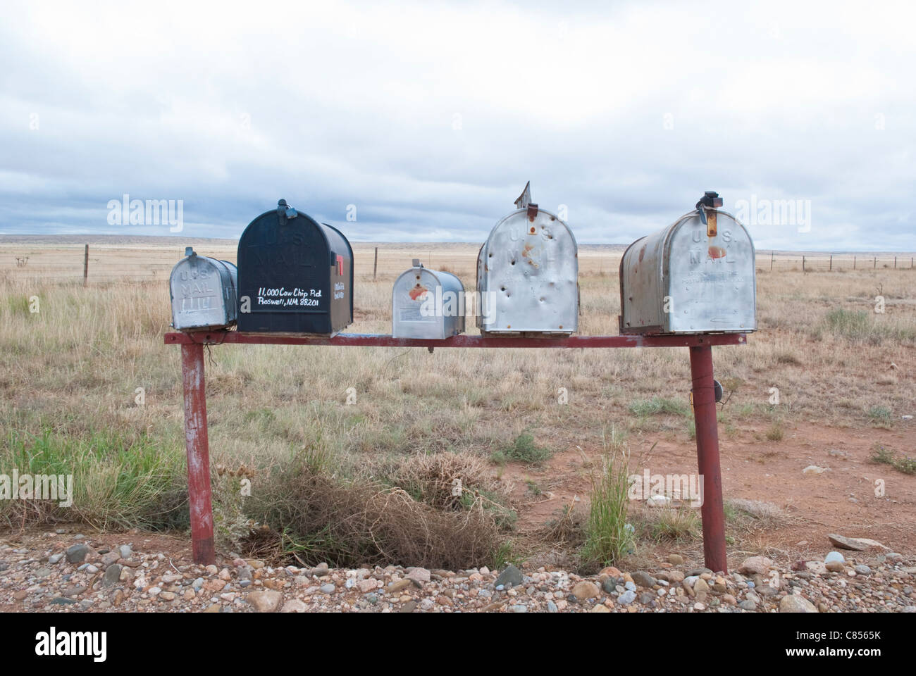Cow mailbox hi-res stock photography and images - Alamy