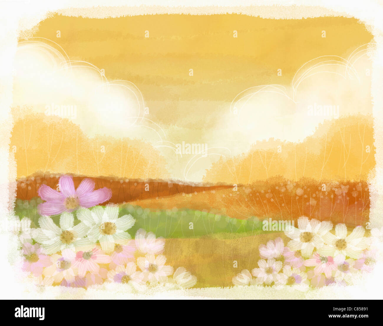 The image of fall landscape with cosmos Stock Photo - Alamy