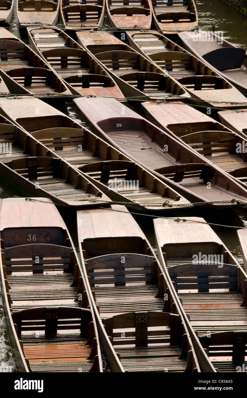 Wooden punts on the river Cherwell in Oxford Stock Photo - Alamy