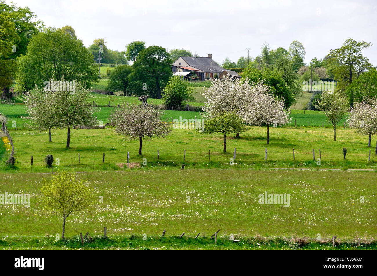 Apple farm france hi-res stock photography and images - Alamy