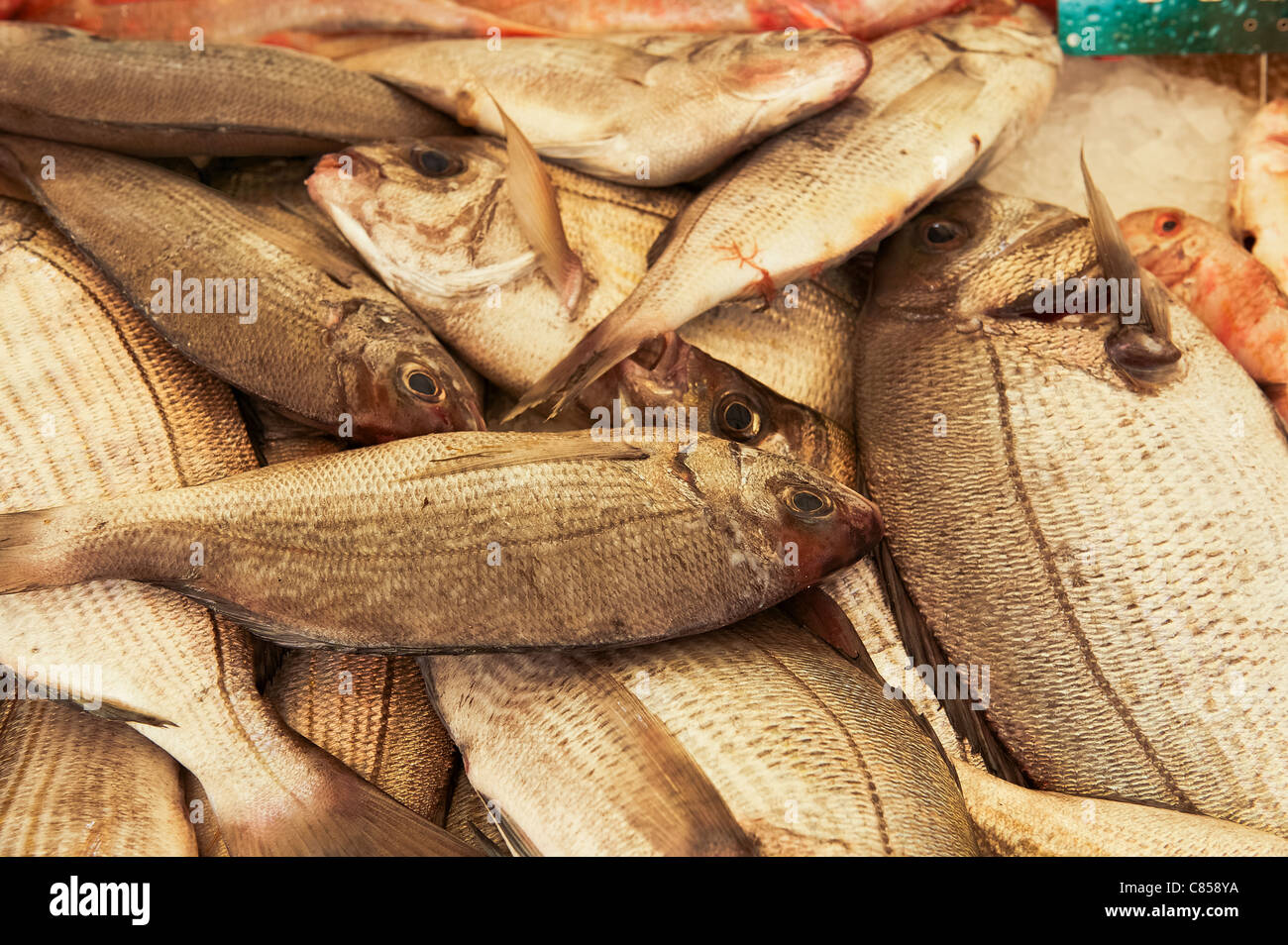Market stall displaying locally caught fish in Normandy France Stock ...