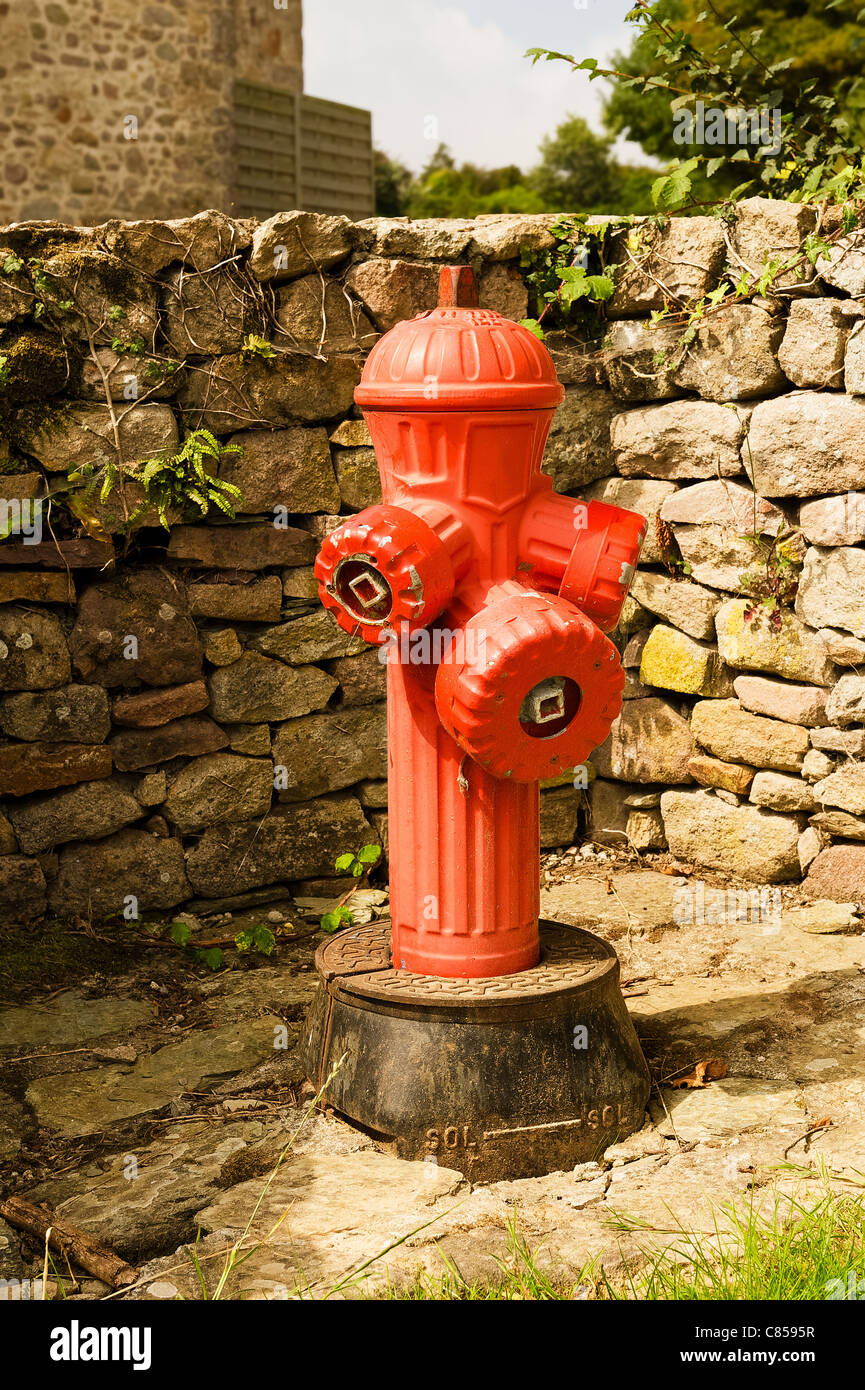 French water fire hydrant in street near roadside Stock Photo - Alamy