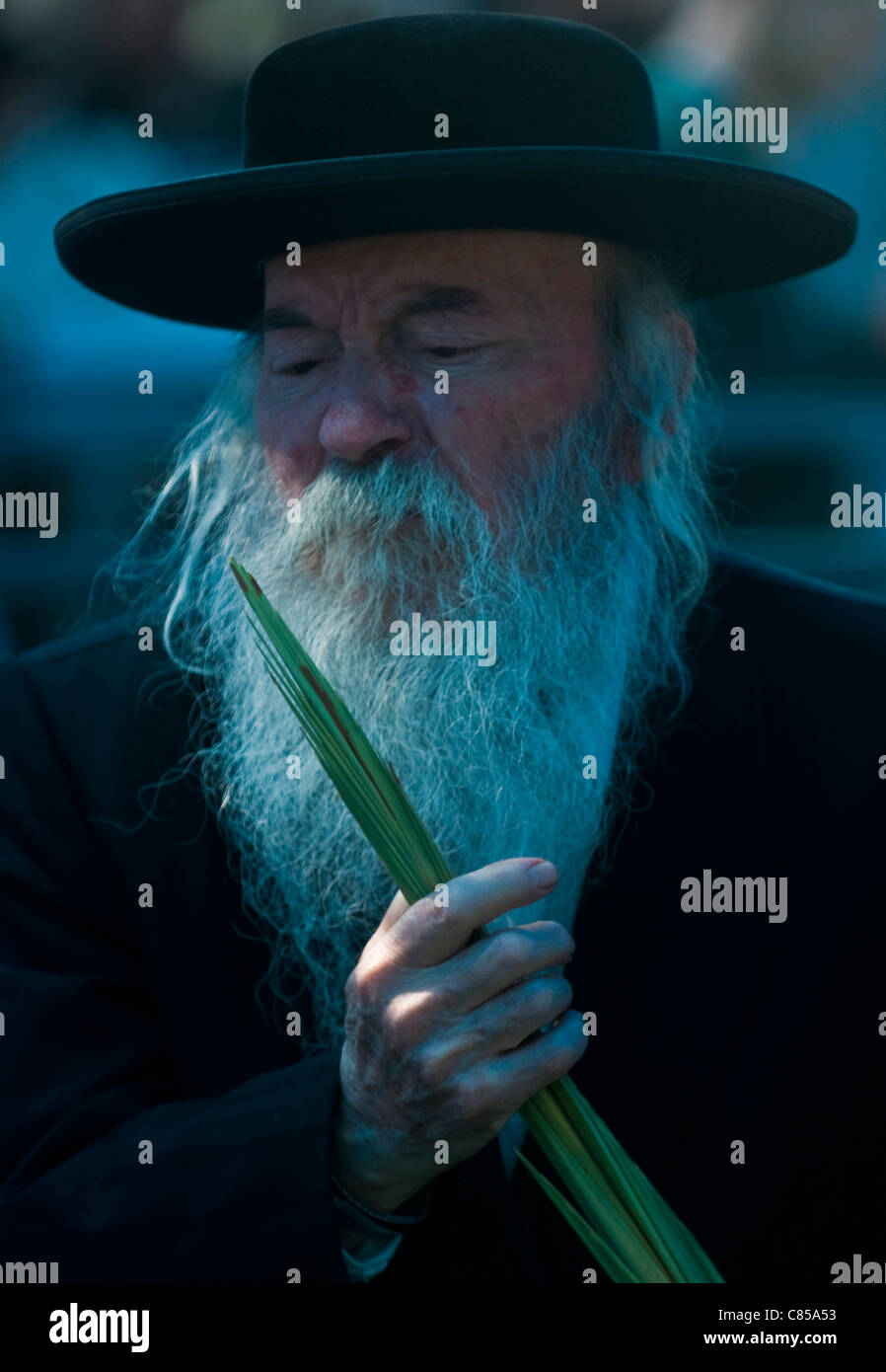 Lulav hi-res stock photography and images - Alamy
