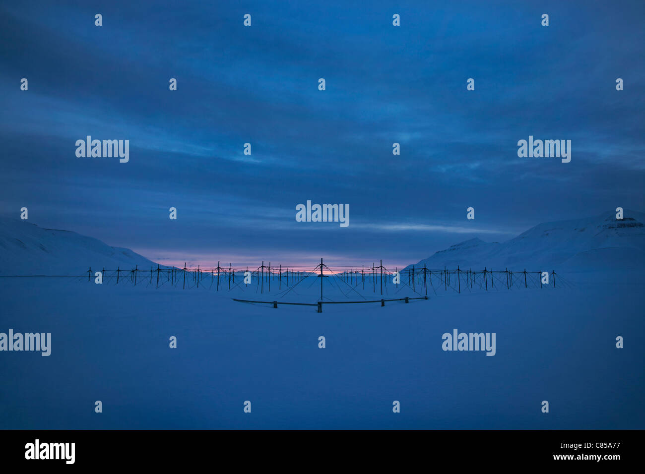 Wire posts in snow-covered field Stock Photo - Alamy