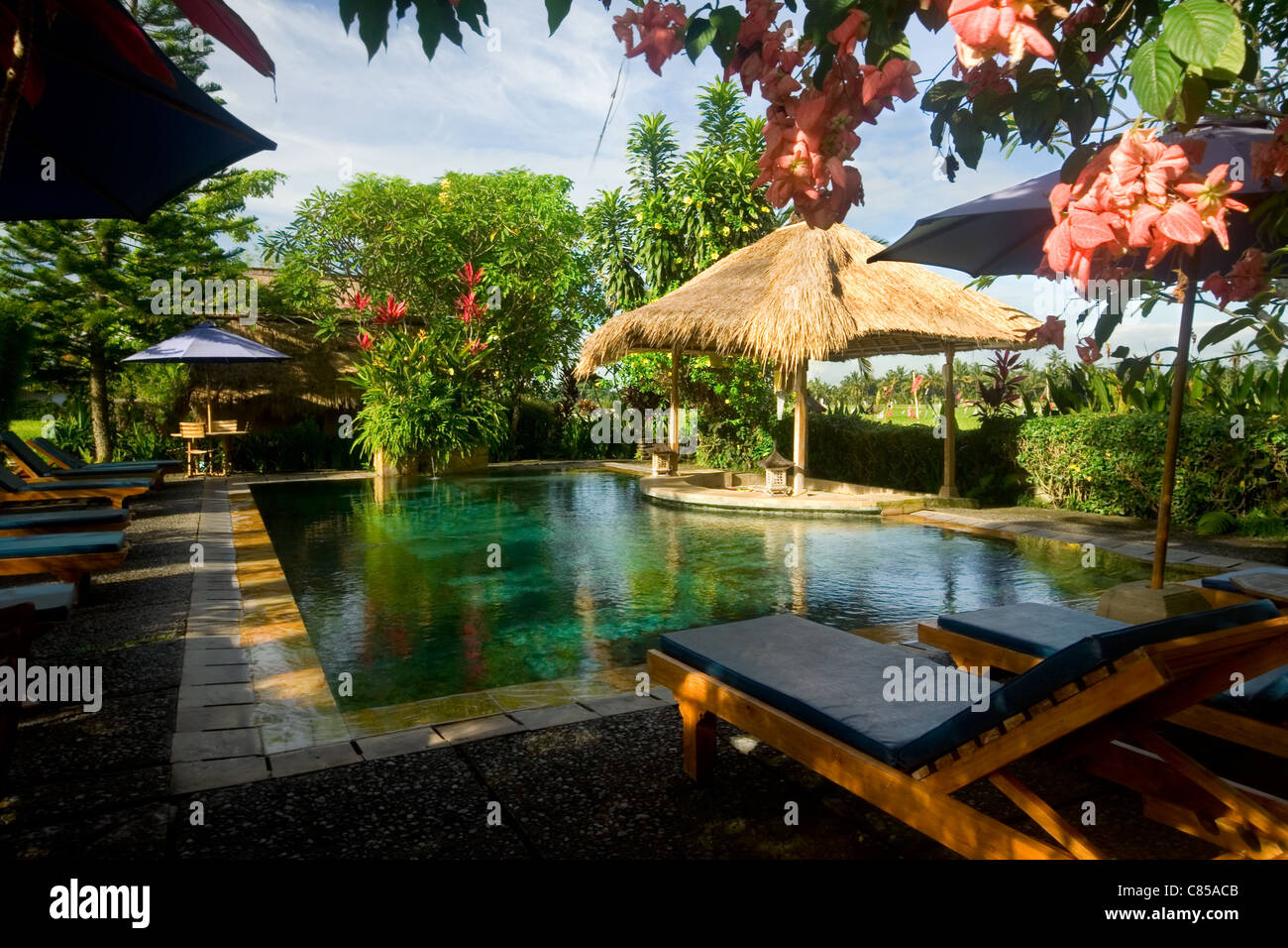Swimming pool in a tropical resort with deck chairs Stock Photo - Alamy
