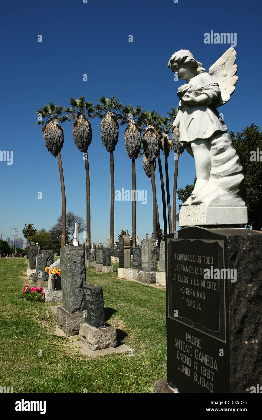 PALM TREES IN GRAVEYARD SHOWMEN'S REST AT THE EVERGREEN MEMORIAL PARK ...