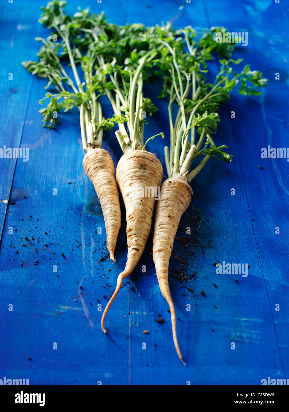 3 parsnips hi-res stock photography and images - Alamy