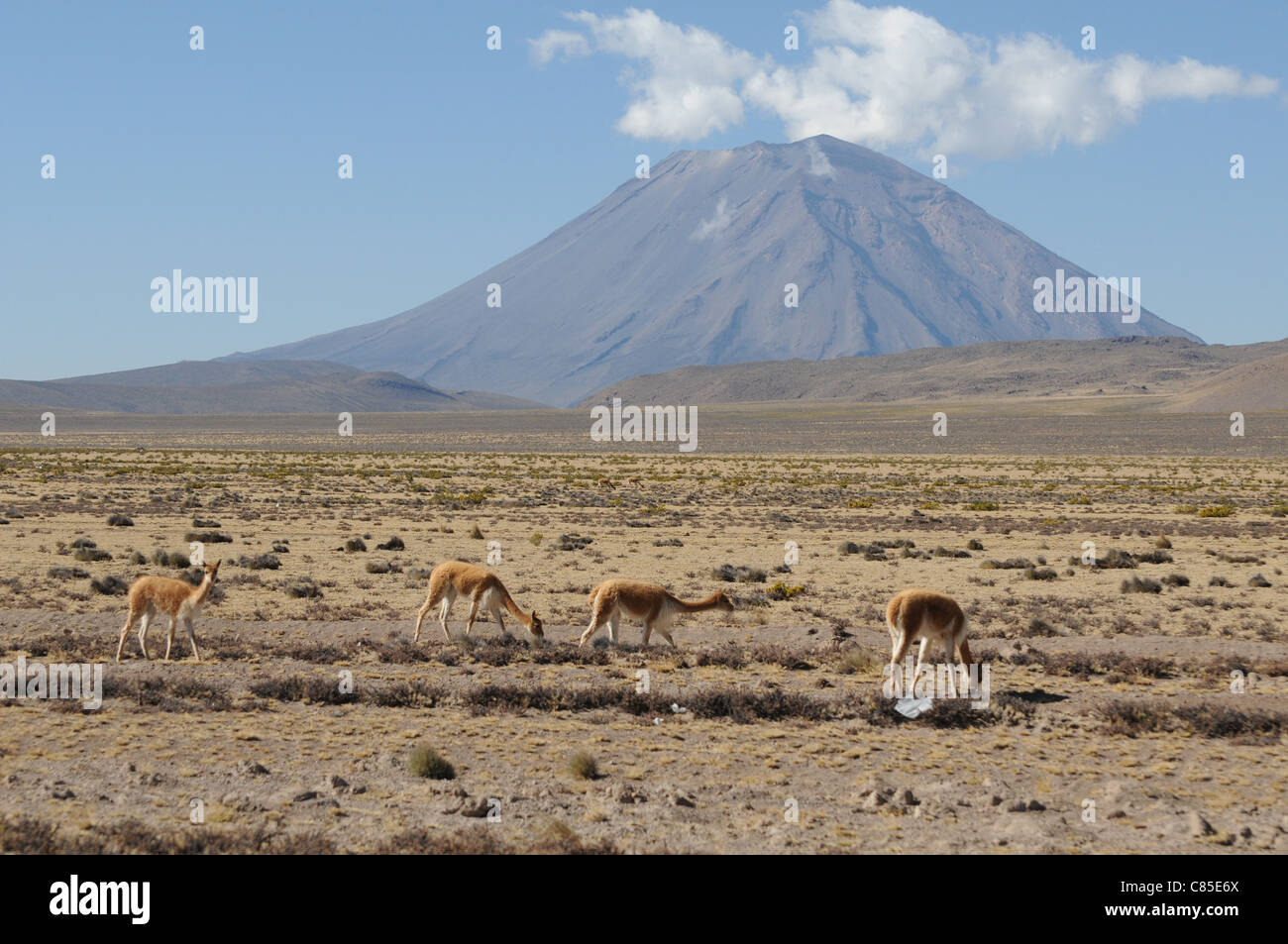 Misti Volcano near Arrequipa, Peru Stock Photo - Alamy