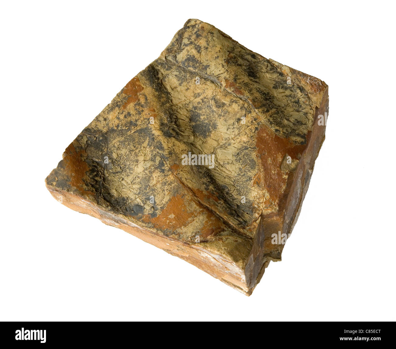 Sea bed hi-res stock photography and images - Alamy