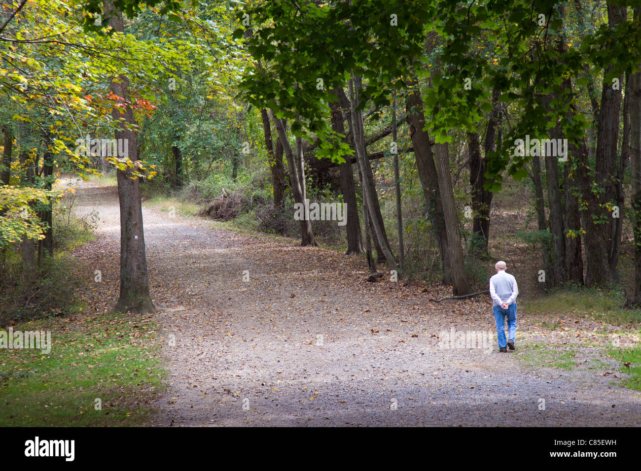 An elderly man walking on a path Stock Photo - Alamy