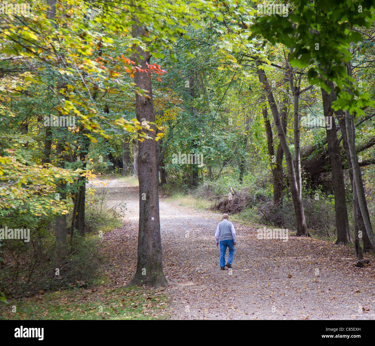 An elderly man walking on a path Stock Photo - Alamy
