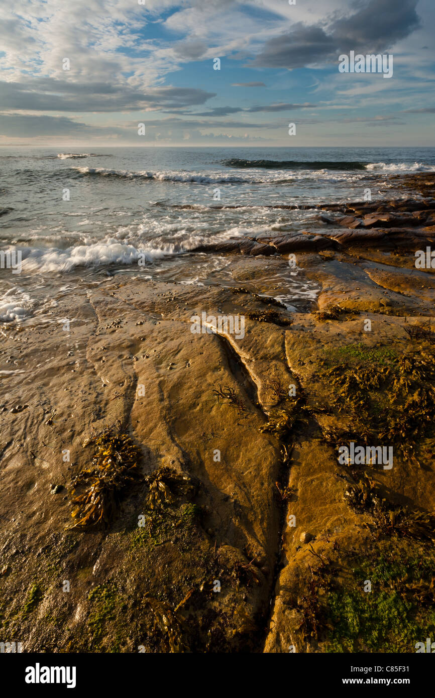 Low evening sun, 'The Slumps', Seaton Sluice, Northumberland, England ...