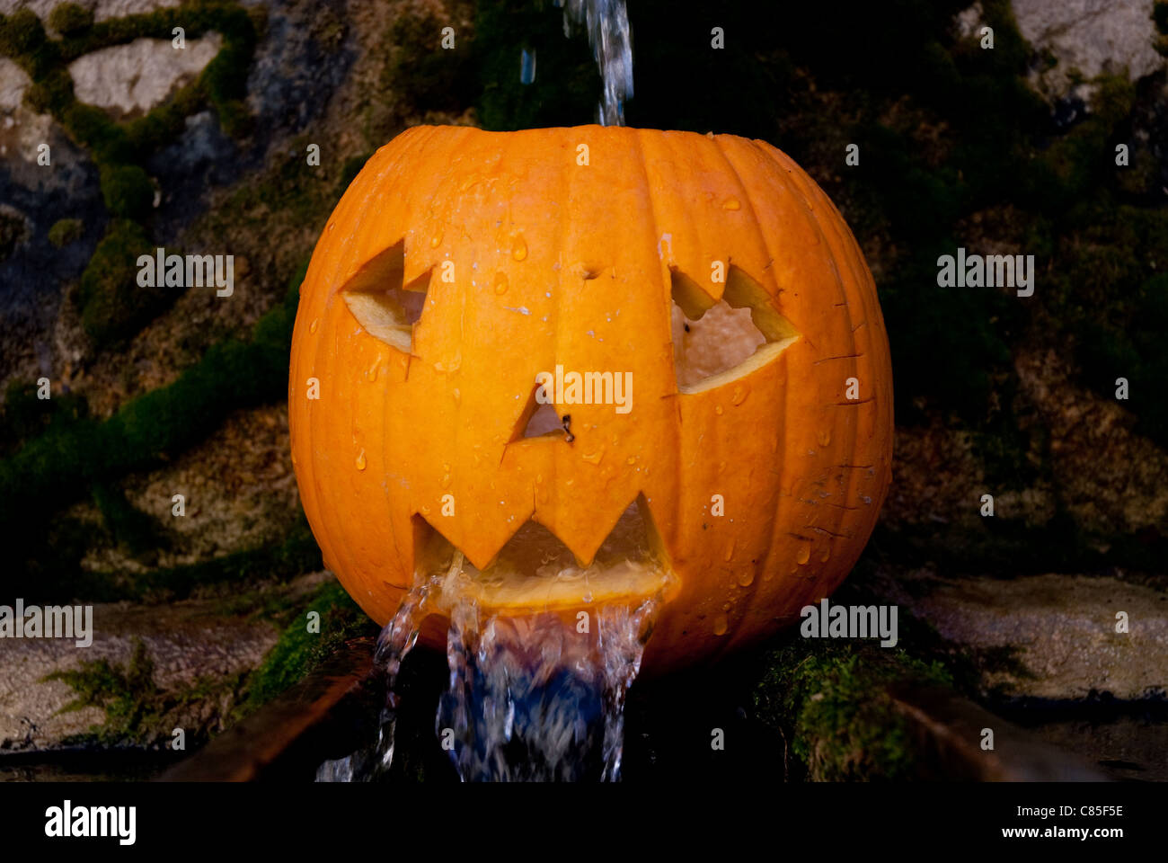 Halloween Pumpkin with a face and water flowing from mouth Stock Photo ...