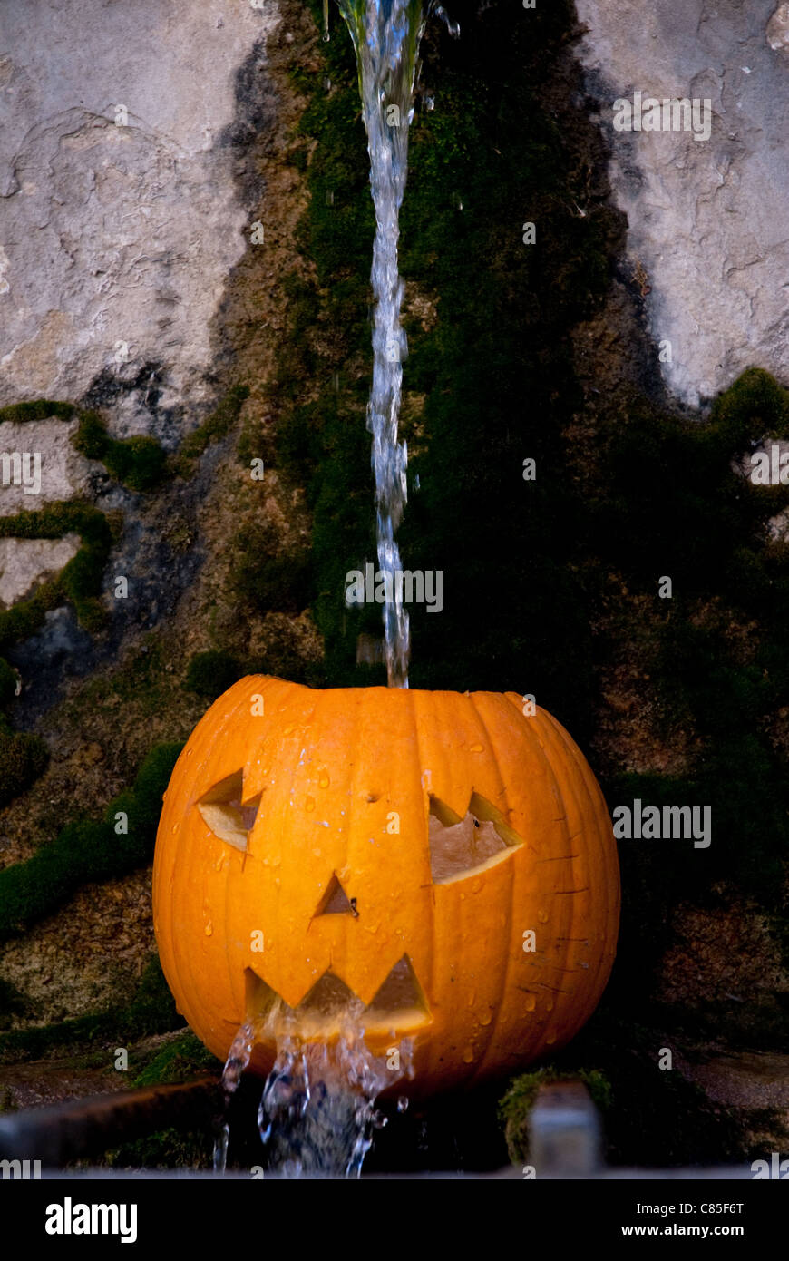 Halloween Pumpkin with face through which water is flowing Stock Photo ...