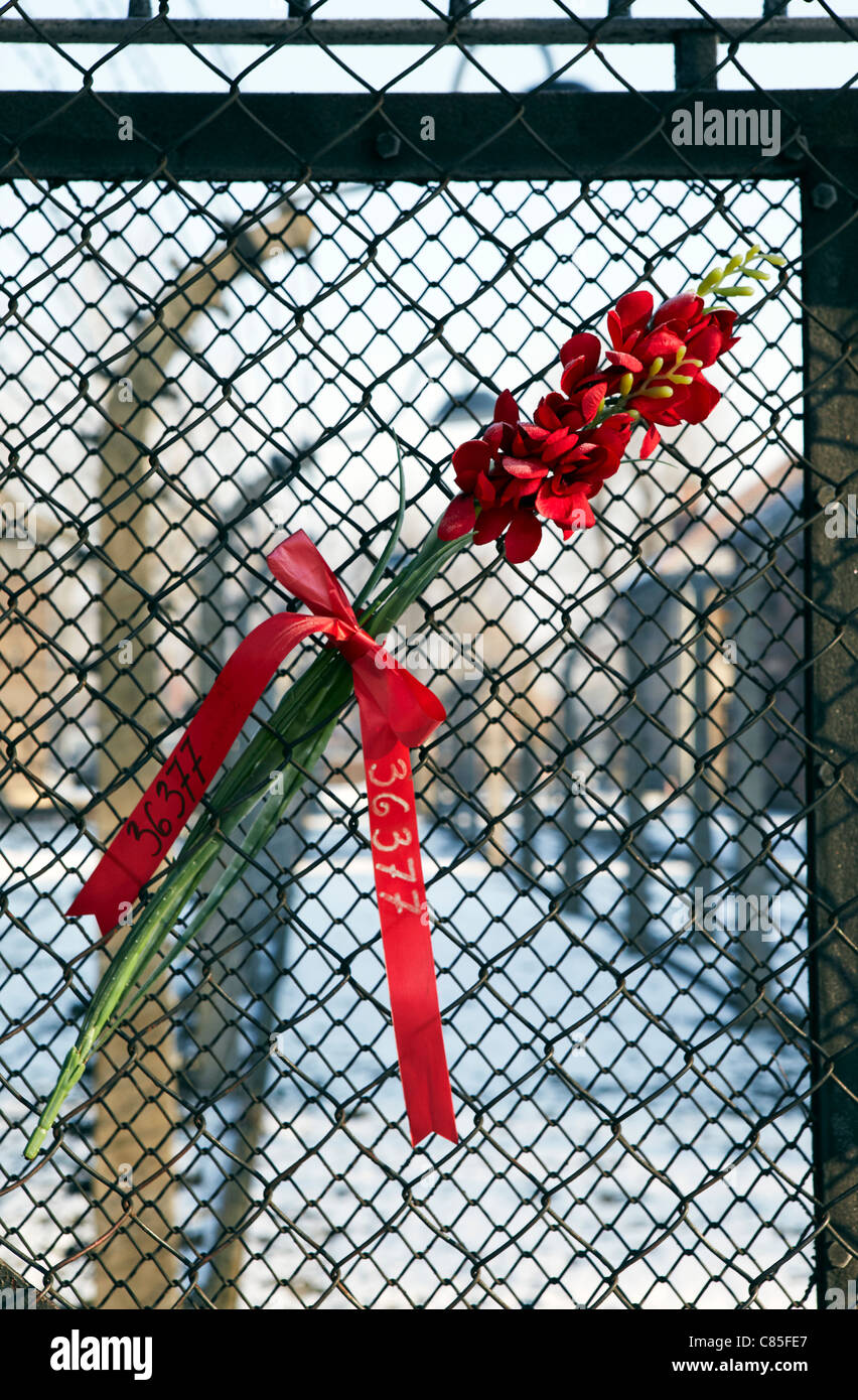 red flower front gate, Auschwitz 1, Poland Stock Photo - Alamy