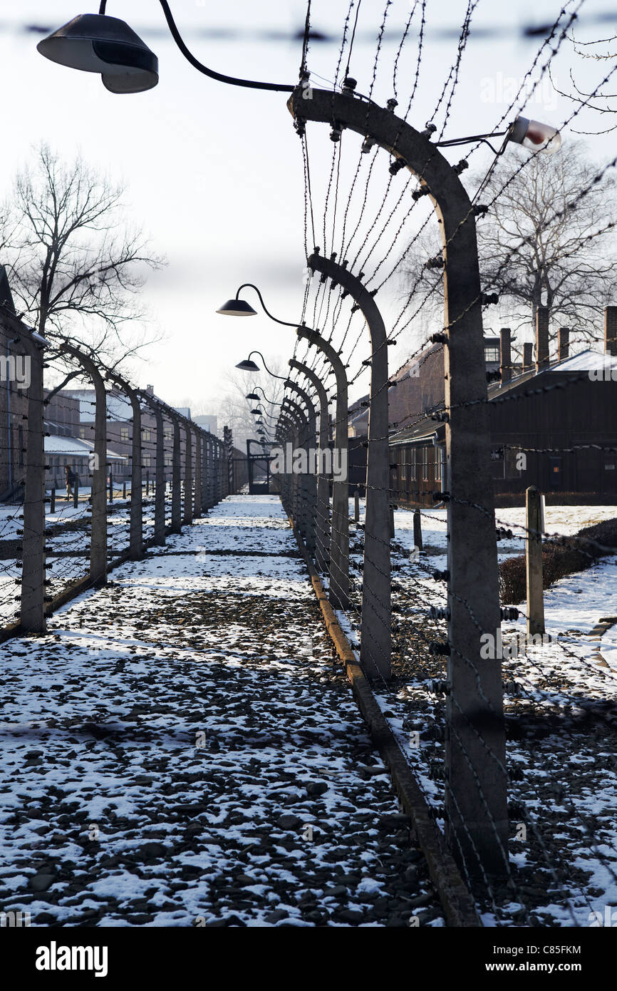 barbed wire fence, Auschwitz, Poland Stock Photo - Alamy