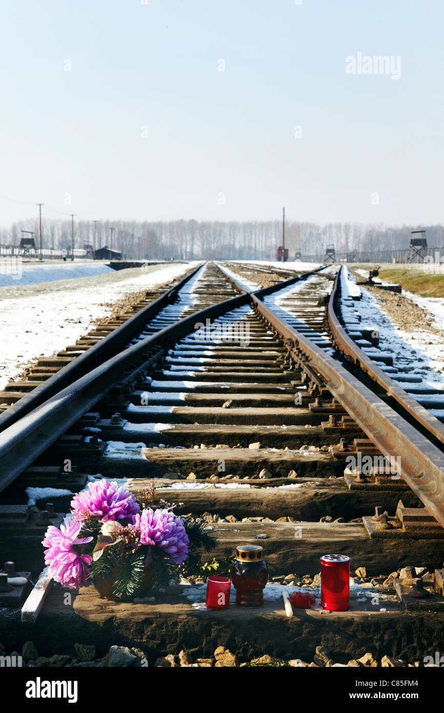 flowers on train tracks, Auschwitz, Poland Stock Photo - Alamy
