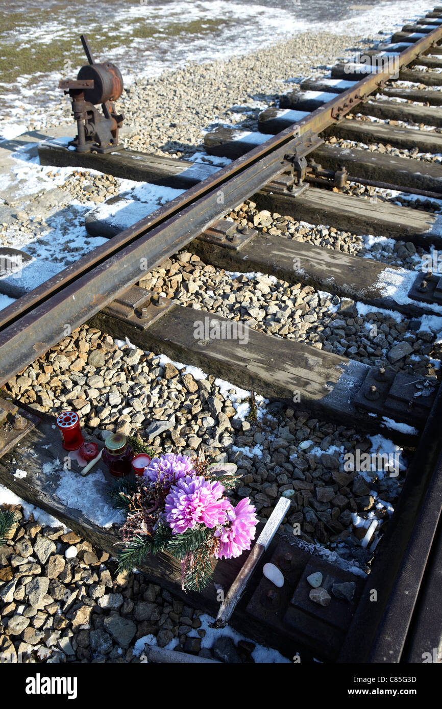 flowers on train tracks, Auschwitz, Poland Stock Photo - Alamy