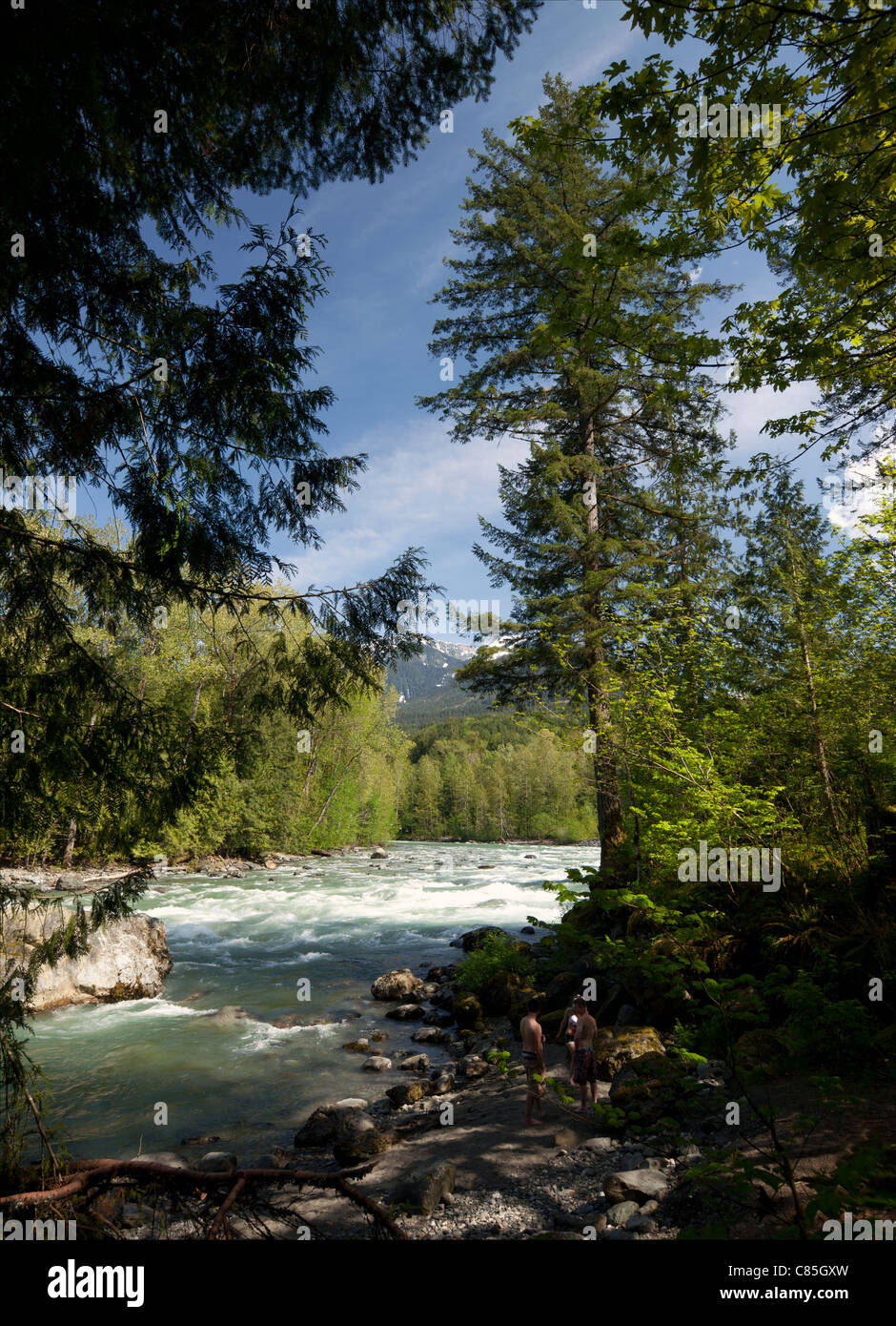 Beach and river with trees Stock Photo - Alamy