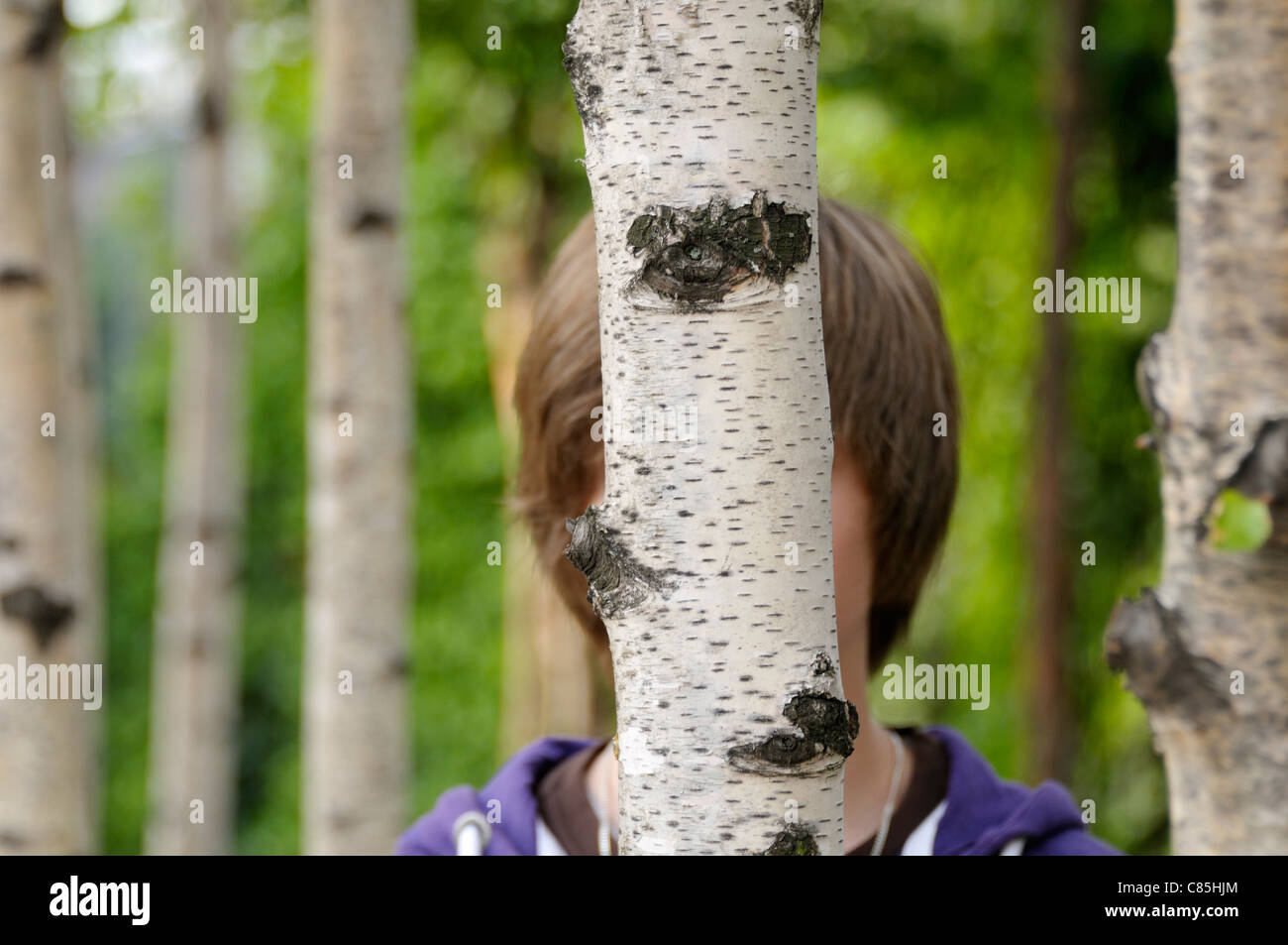 Boy Hidden Behind Tree trunk Stock Photo - Alamy