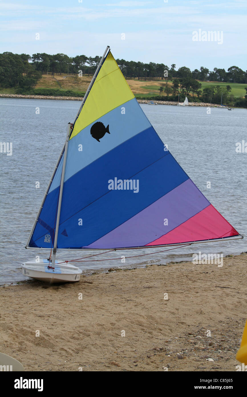 Sunfish Sailboat Racing