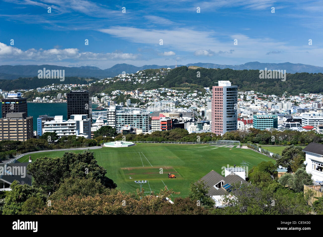Panoramic View of Wellington City From Botanic Gardens North Island New ...
