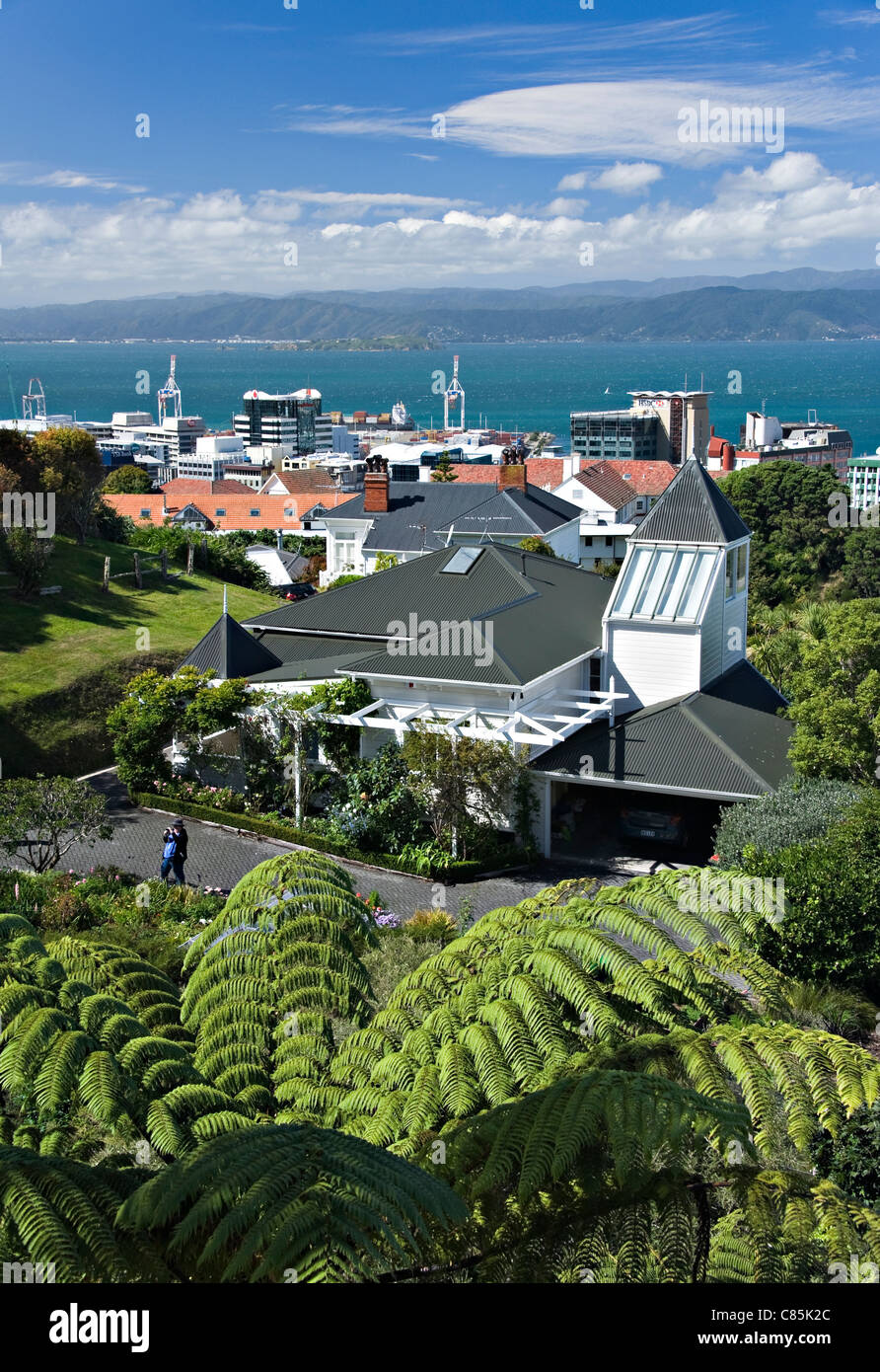 Panoramic View of Wellington City From Botanic Gardens North Island New ...