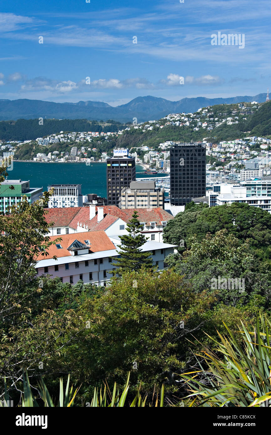 Panoramic View of Wellington City From Botanic Gardens North Island New ...