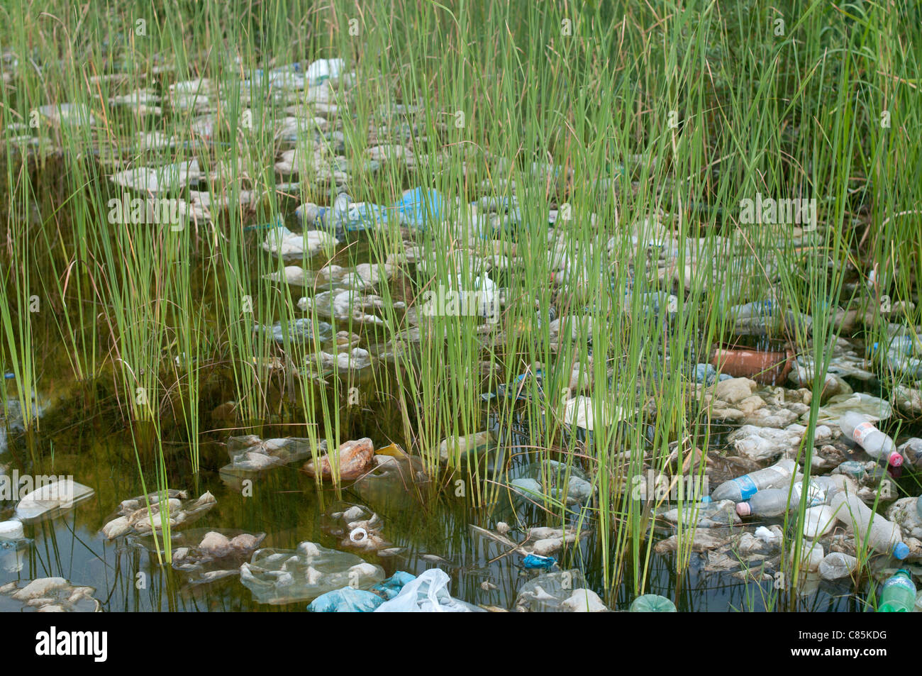 An artificial pond full of rubbish Stock Photo - Alamy