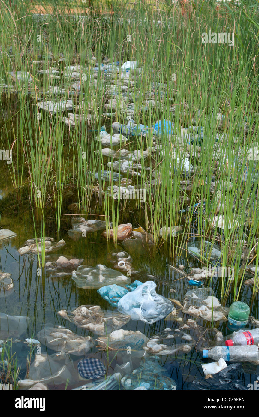Pond Rubbish High Resolution Stock Photography and Images - Alamy