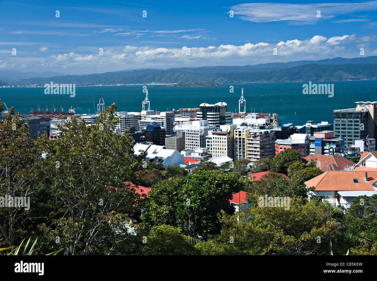 Panoramic View of Wellington City From Botanic Gardens North Island New ...