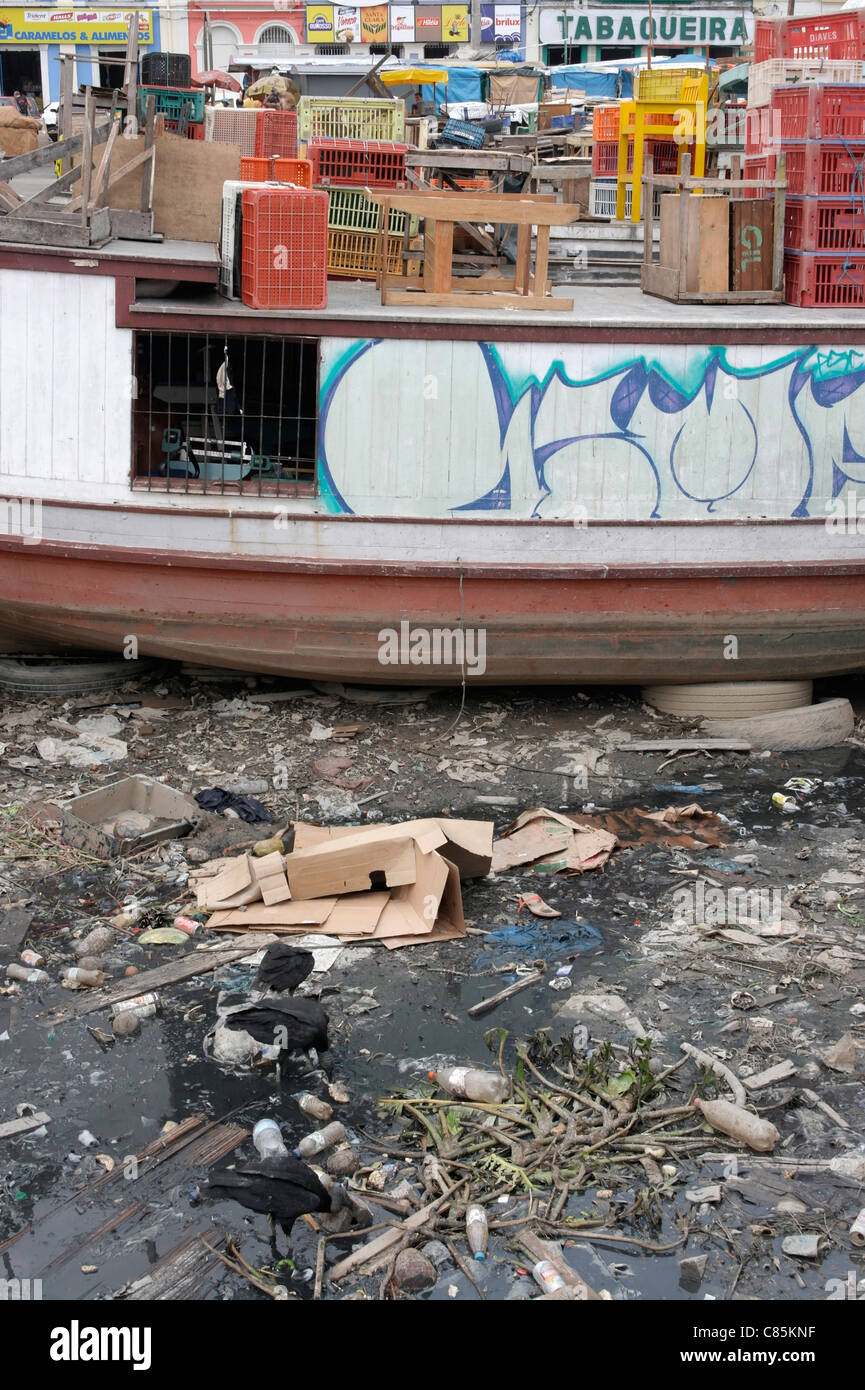 Black urubu hi-res stock photography and images - Alamy