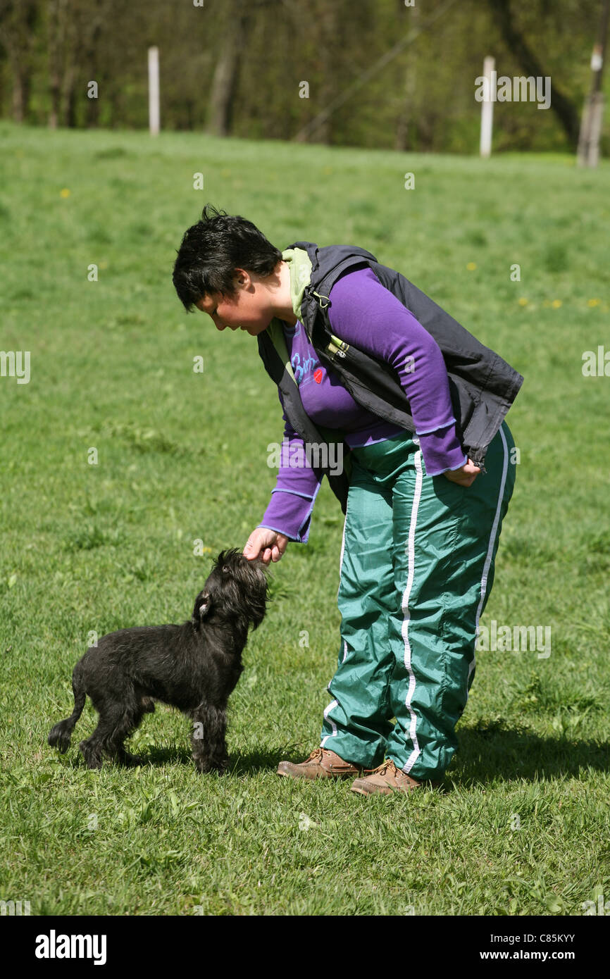 Human training dog hi-res stock photography and images - Alamy