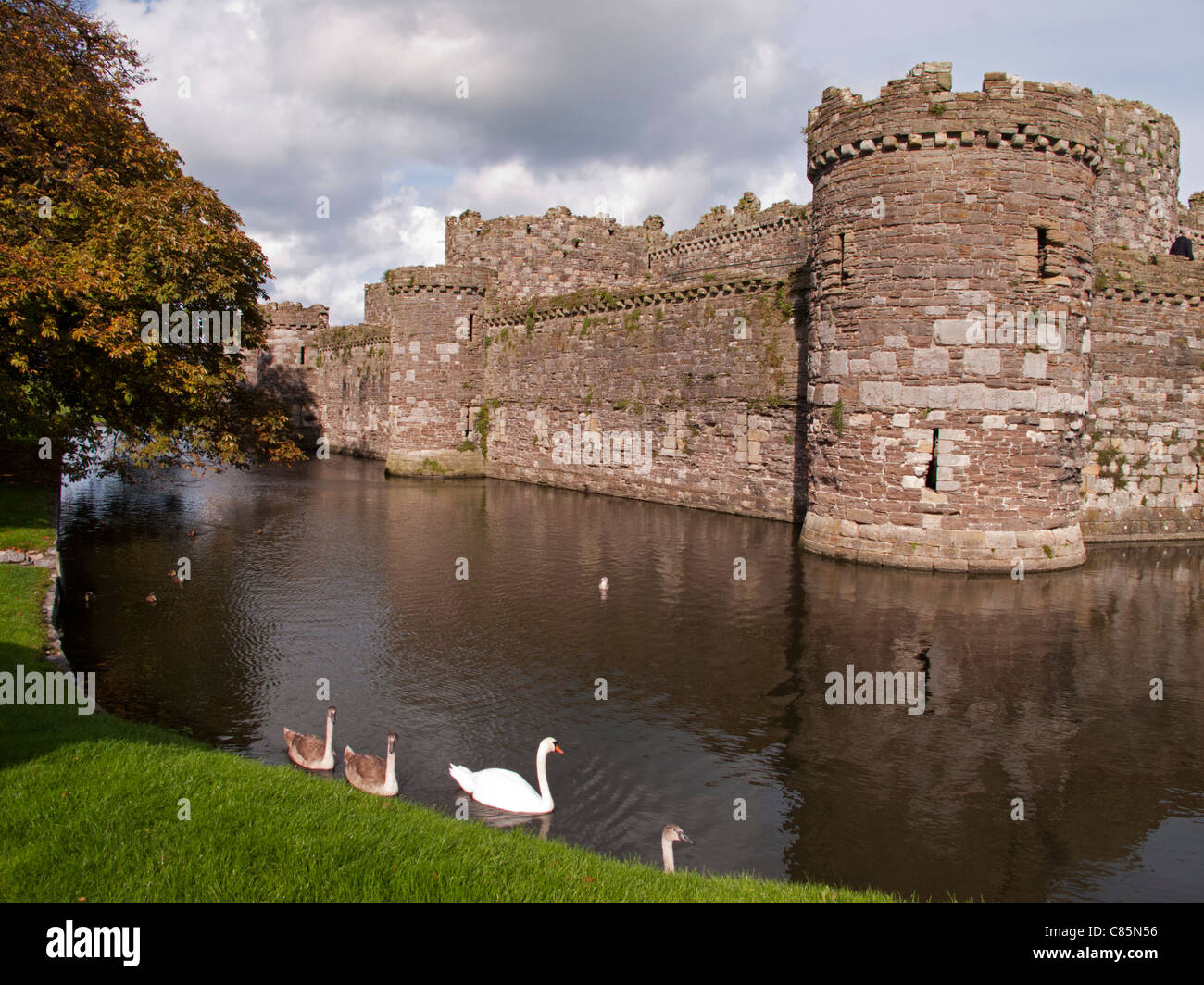 Beaumaris Castle, Wales Stock Photo - Alamy