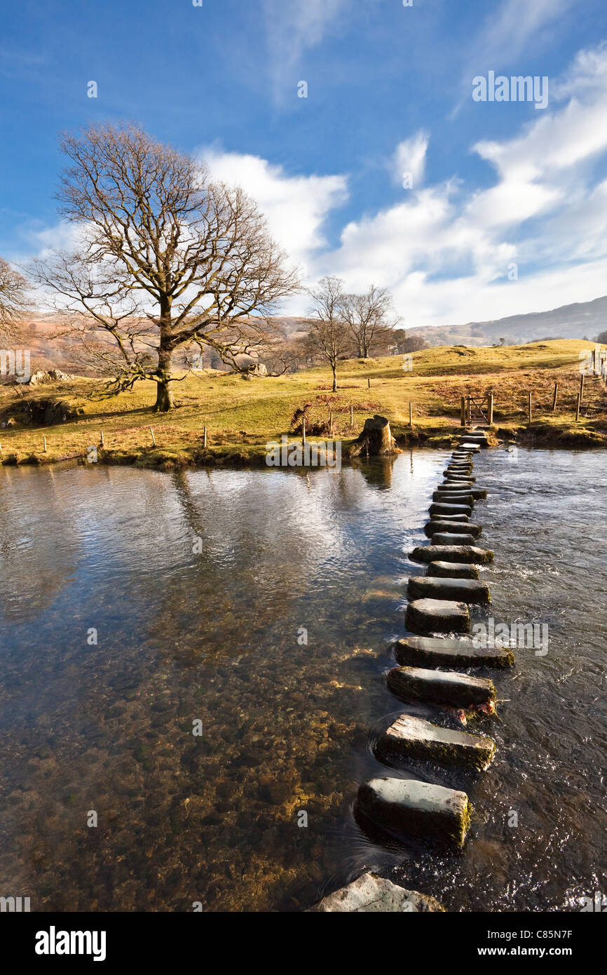 Stream with stones hi-res stock photography and images - Alamy