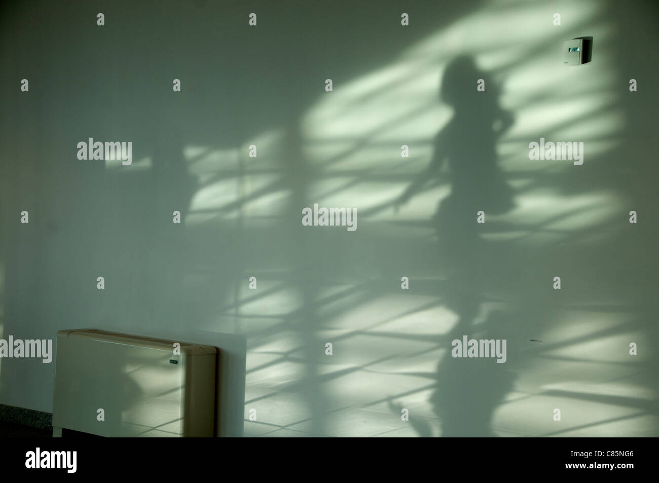 Shadow of young girl running Stock Photo - Alamy