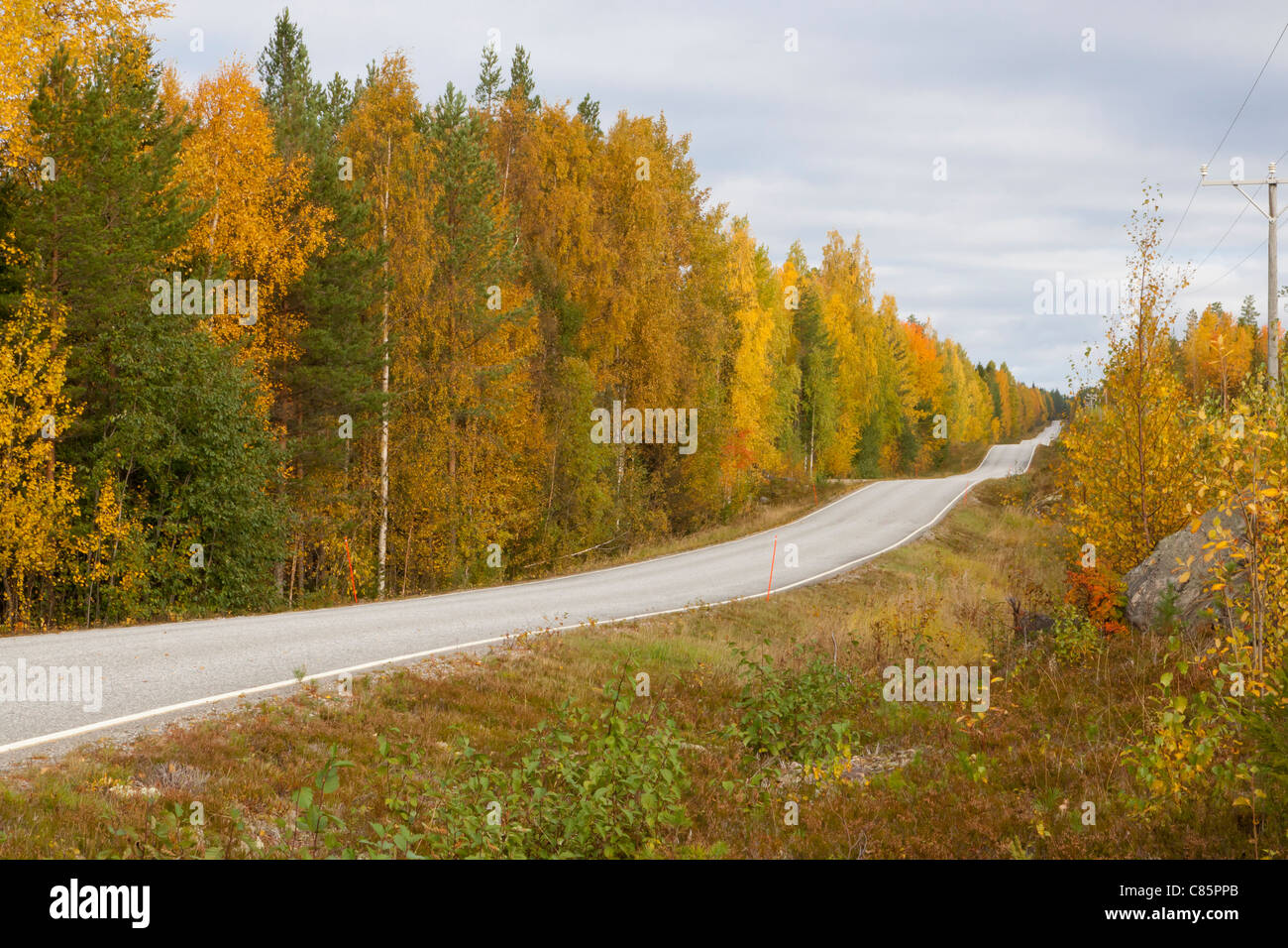 Hilly road hi-res stock photography and images - Alamy