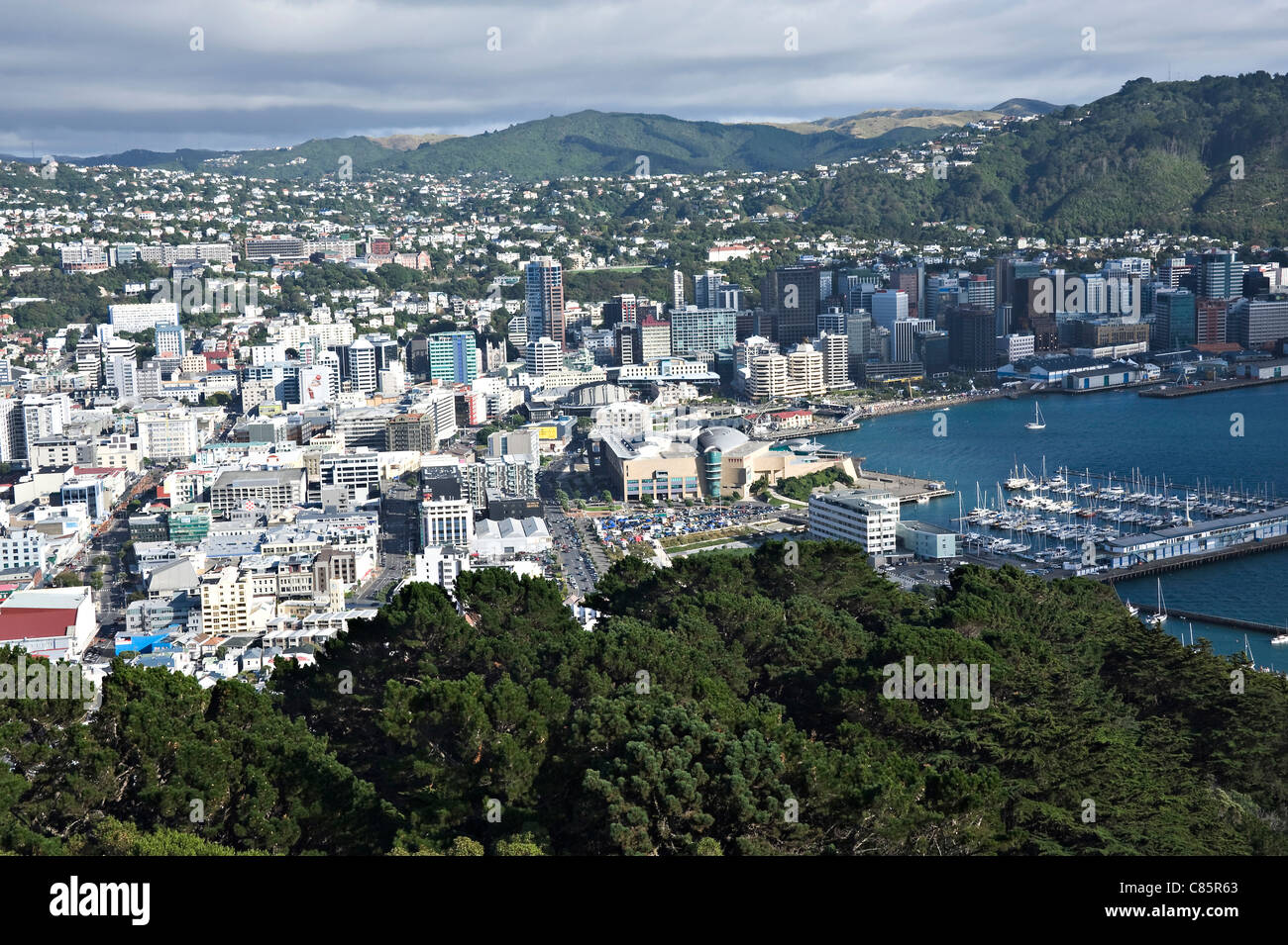 Aerial view wellington new zealand hi-res stock photography and images ...