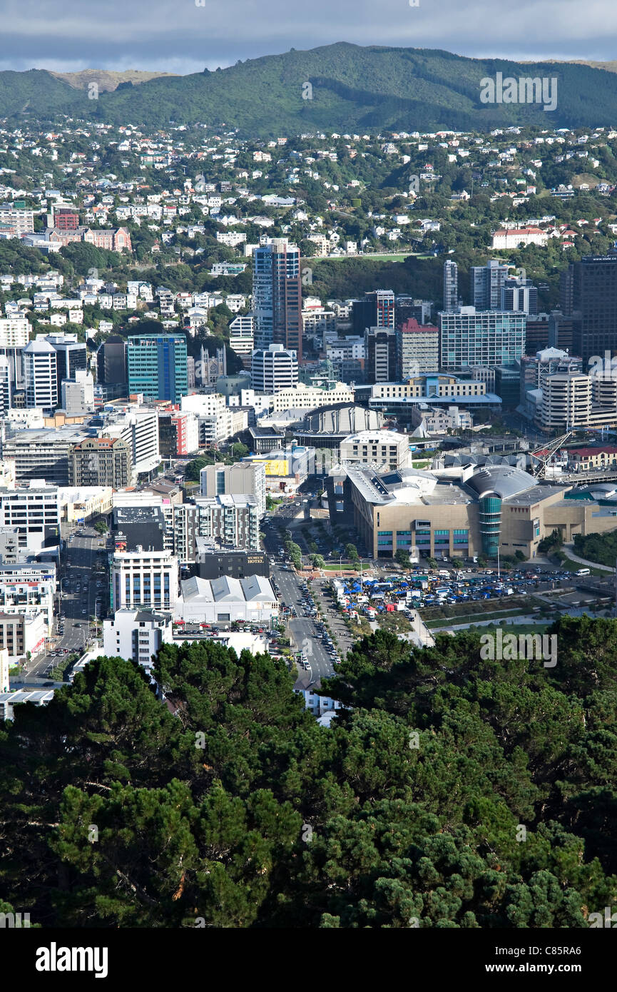 Aerial View of the City of Wellington from Charles Plimmer Park Mount ...