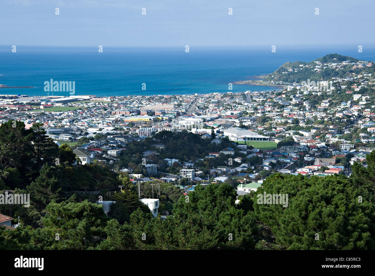Aerial View of the City of Wellington from Charles Plimmer Park Mount ...